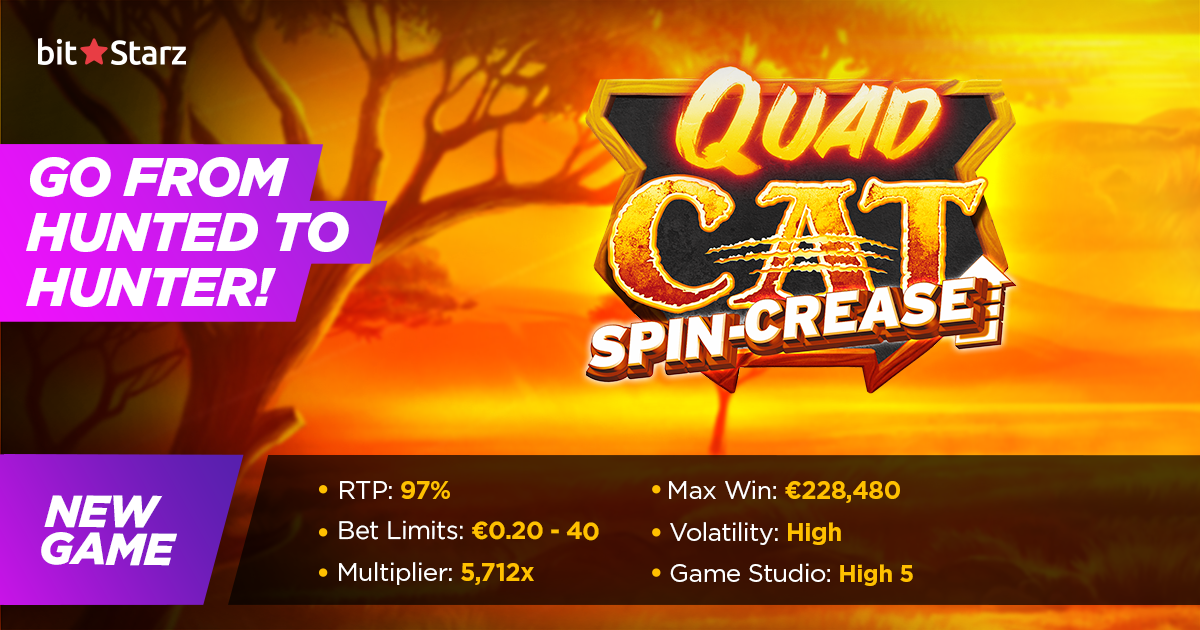 The Reels Are Roaring in Quad Cat Slot!