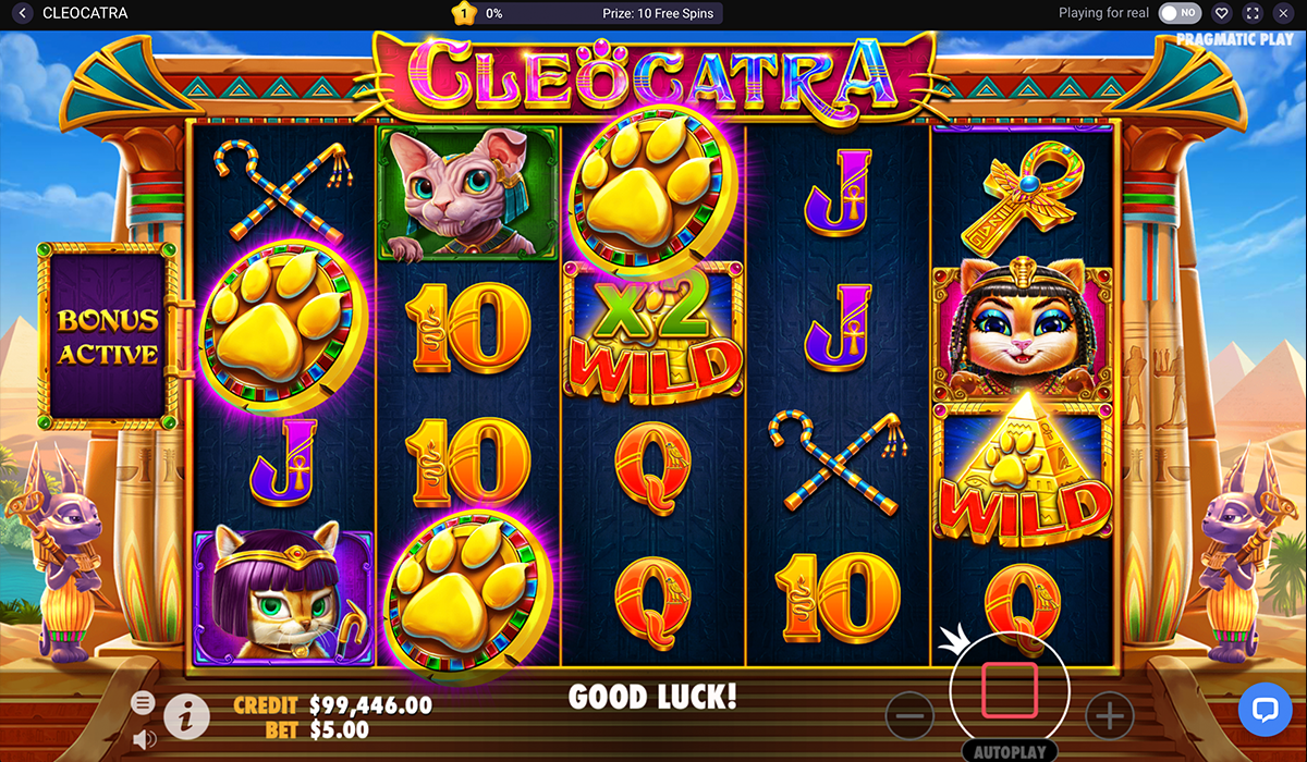 Cleocatra Slot: I’ve Never Won Bigger!