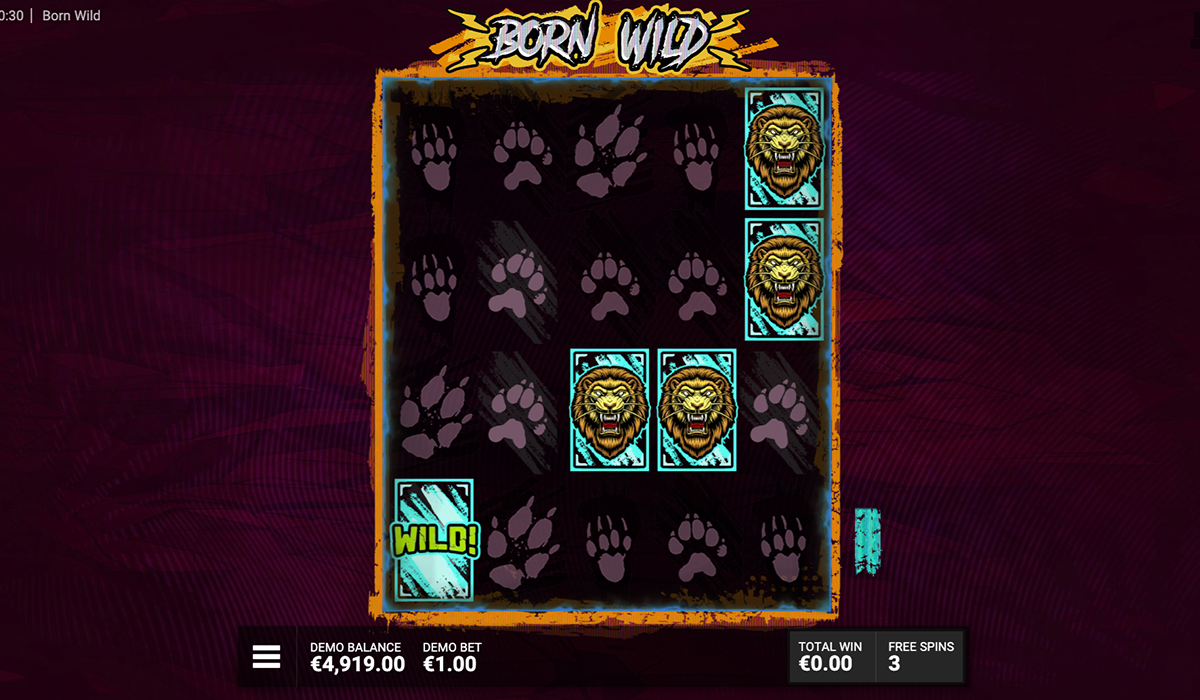 It’s a Zoo Out There in Born Wild Slot