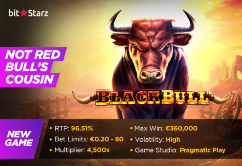 The Top 10 Biggest Slot Wins of 2024 at BitStarz
