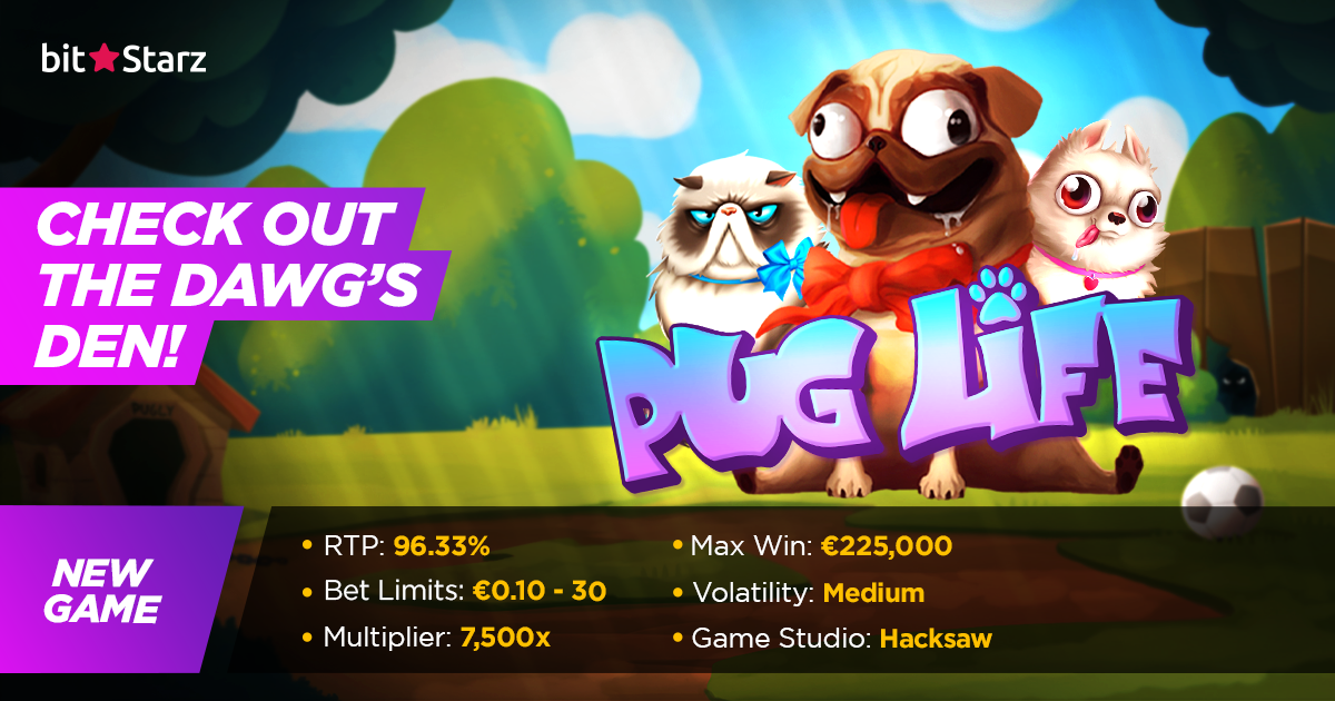 Pugs Life Slot Is an Ode to a Lazy Pup - And We Can Relate!